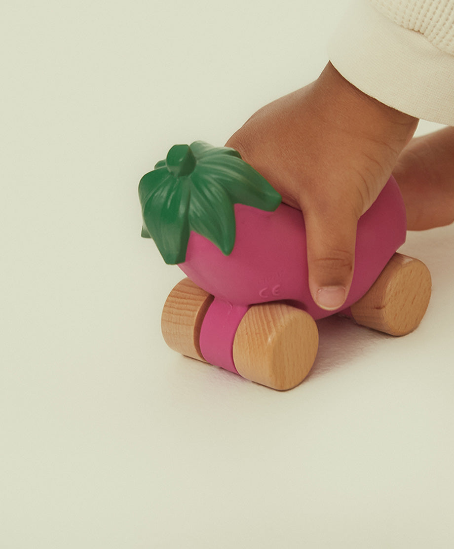 Baby Push & Pull – littleCONCEPTS & Co